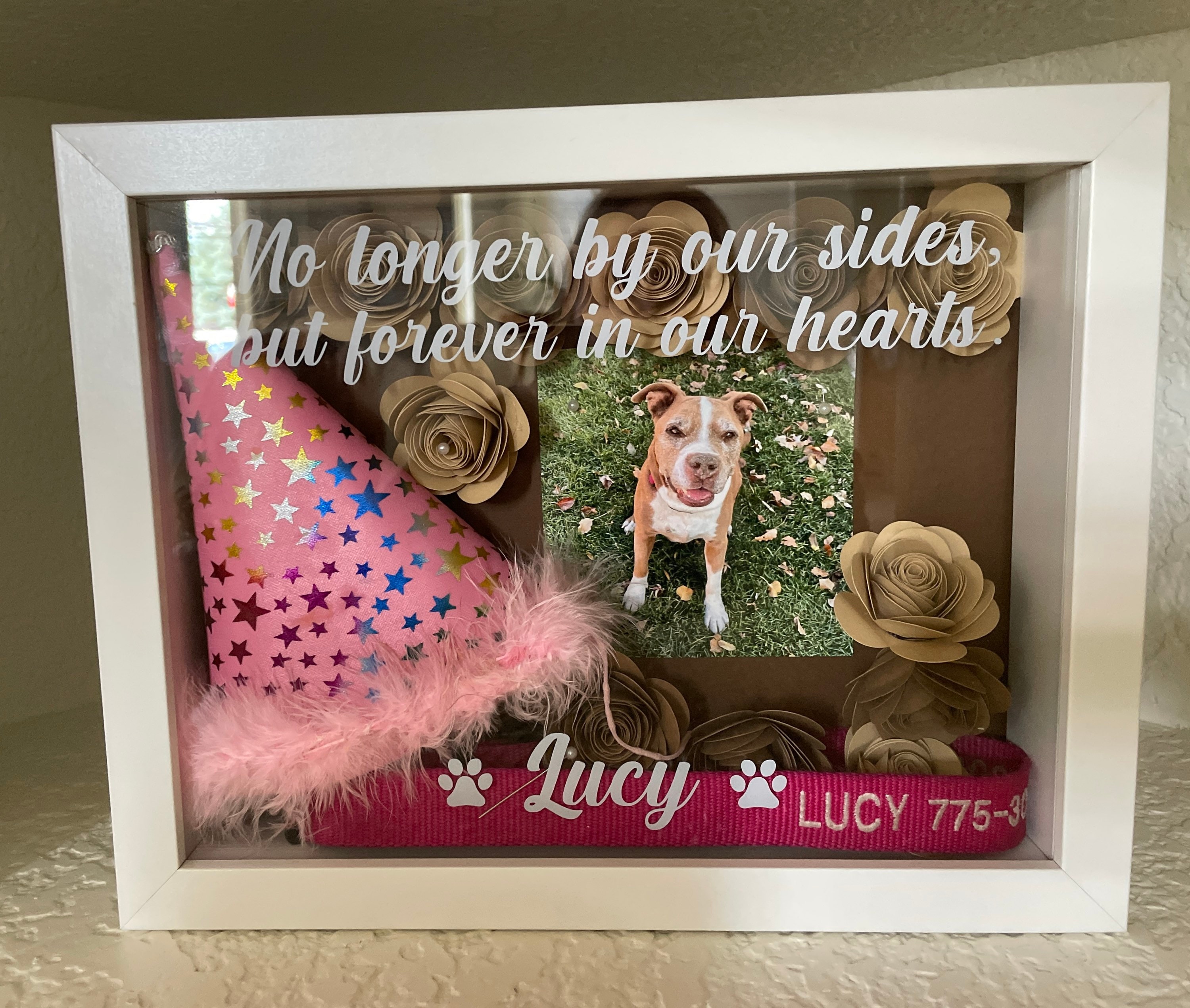 Pet Shadow Box Dog Memorial Framed Box Personalized Memory - Etsy