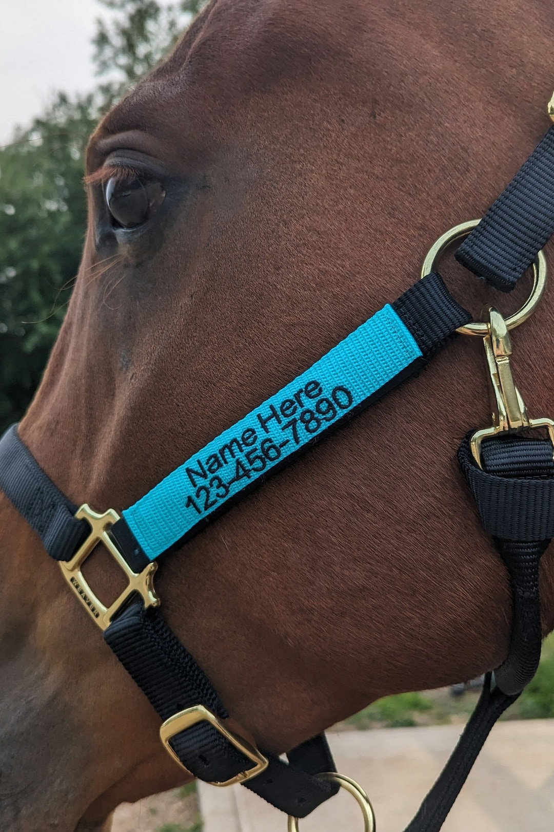 LARGE Embroidered Halter Sleeves, Custom Horse Halter Name Tag. Single ...