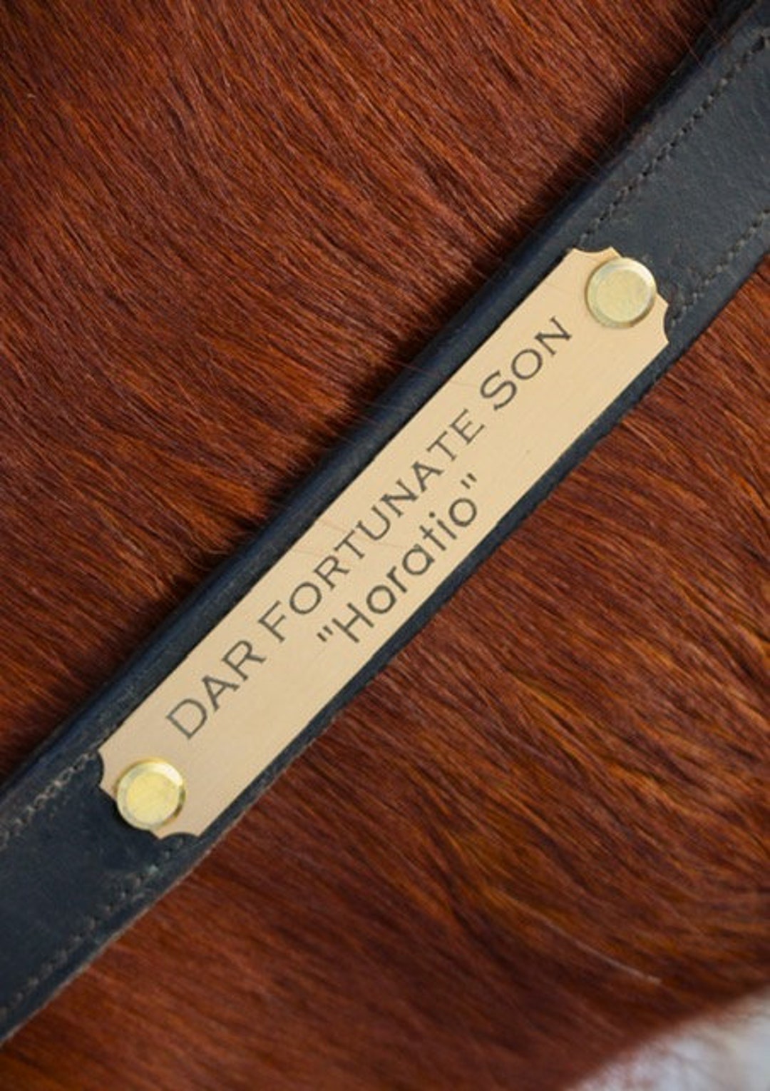 HALTER PLATE Engraved Brass Halter Plate. Notched Style 4" X 3/4" With ...