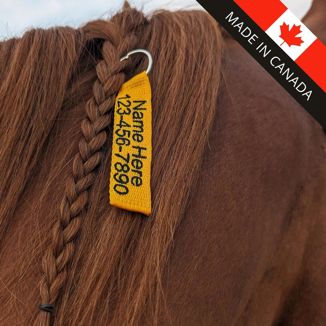 DOUBLE LINED Single Sided Emergency Equine Tags, Braid In, or on Tack ...