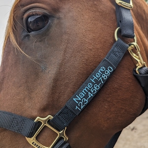 SMALL/MEDIUM Embroidered Halter Sleeves, Custom Horse Halter Name Tag ...