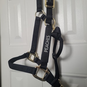 LARGE Halter Sleeve 3x6, Custom Horse Halter Name Tag Halter NOT ...