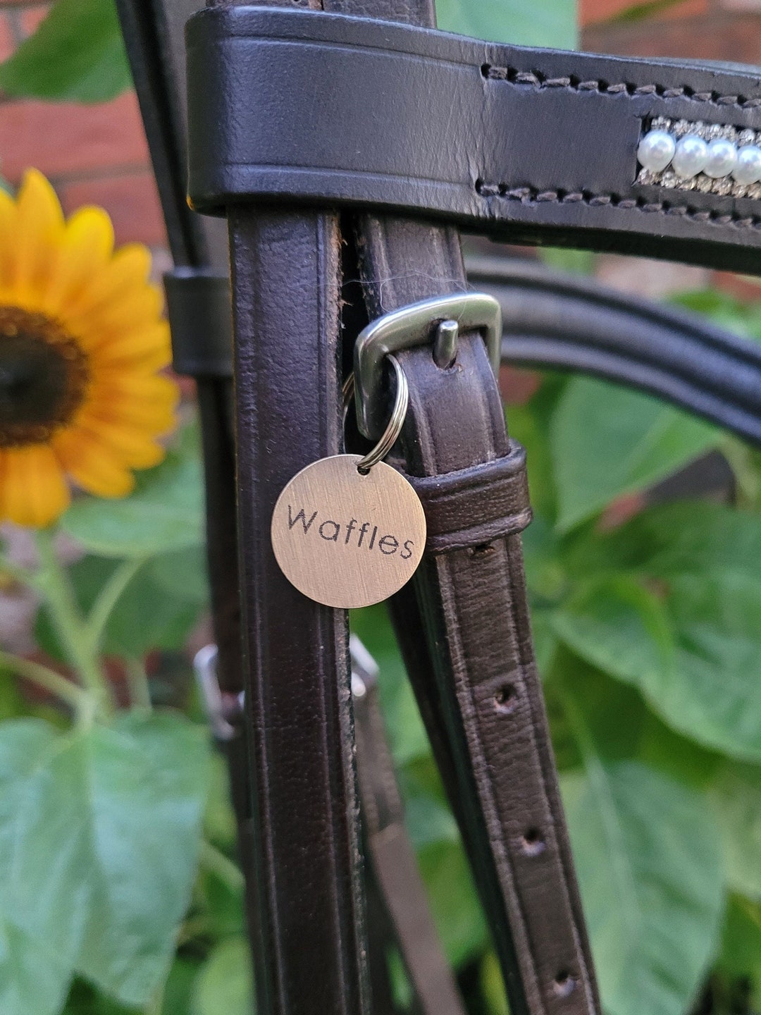 BRASS BRIDLE TAGS 3/4 " Small Round, Double Sided Custom Engraved ...