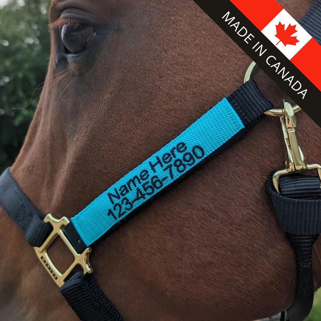 LARGE Embroidered Halter Sleeves, Custom Horse Halter Name Tag. Single ...