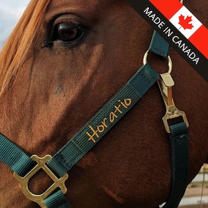 SMALL/MEDIUM Embroidered Halter Sleeves, Custom Horse Halter Name Tag ...