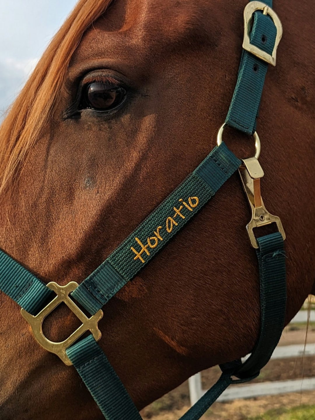 SMALL/MEDIUM Embroidered Halter Sleeves, Custom Horse Halter Name Tag ...