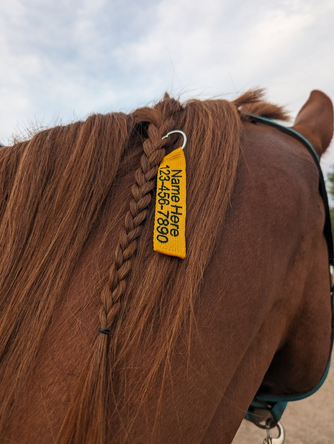 DOUBLE LINED Single Sided Emergency Equine Tags, Braid In, or on Tack ...