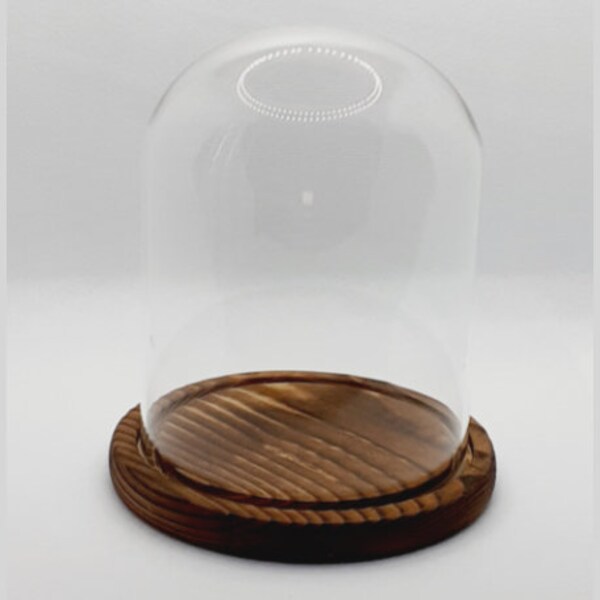 Glass Dome Display - Etsy