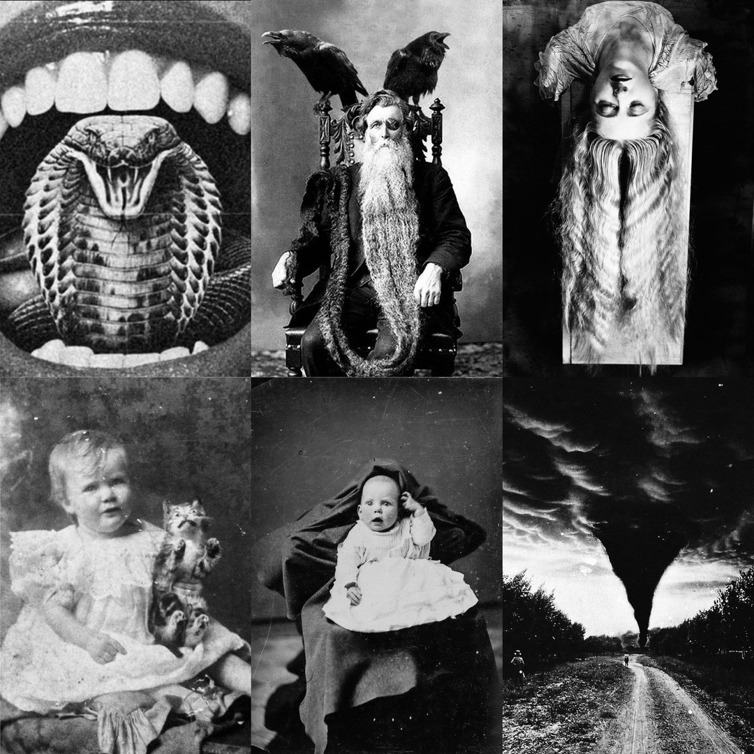 Weird Medical Scary Strange Photo Vintage Odd Picture Funny Etsy weird-medical-scary-strange-photo-vintage-odd-picture-funny-etsy
