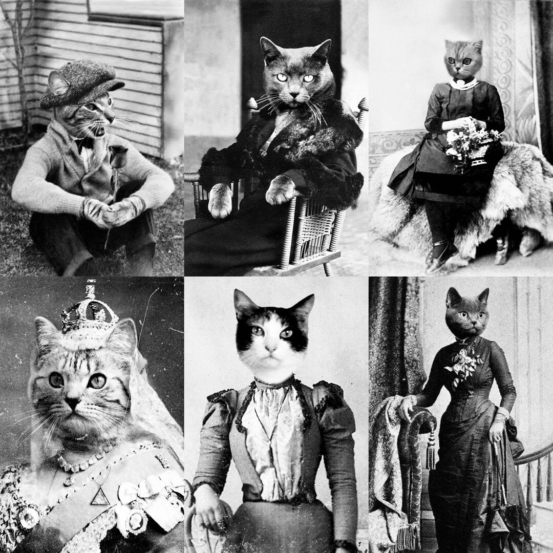 Weird Medical Scary Strange Photo Vintage Odd Picture Funny Etsy weird-medical-scary-strange-photo-vintage-odd-picture-funny-etsy