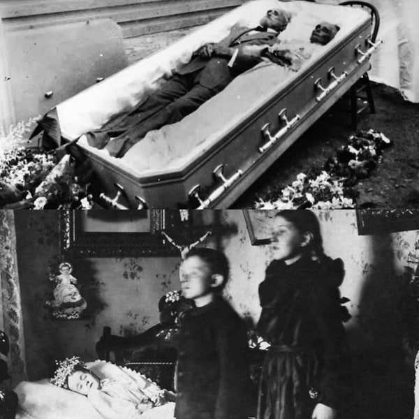 Medical Oddities - Etsy