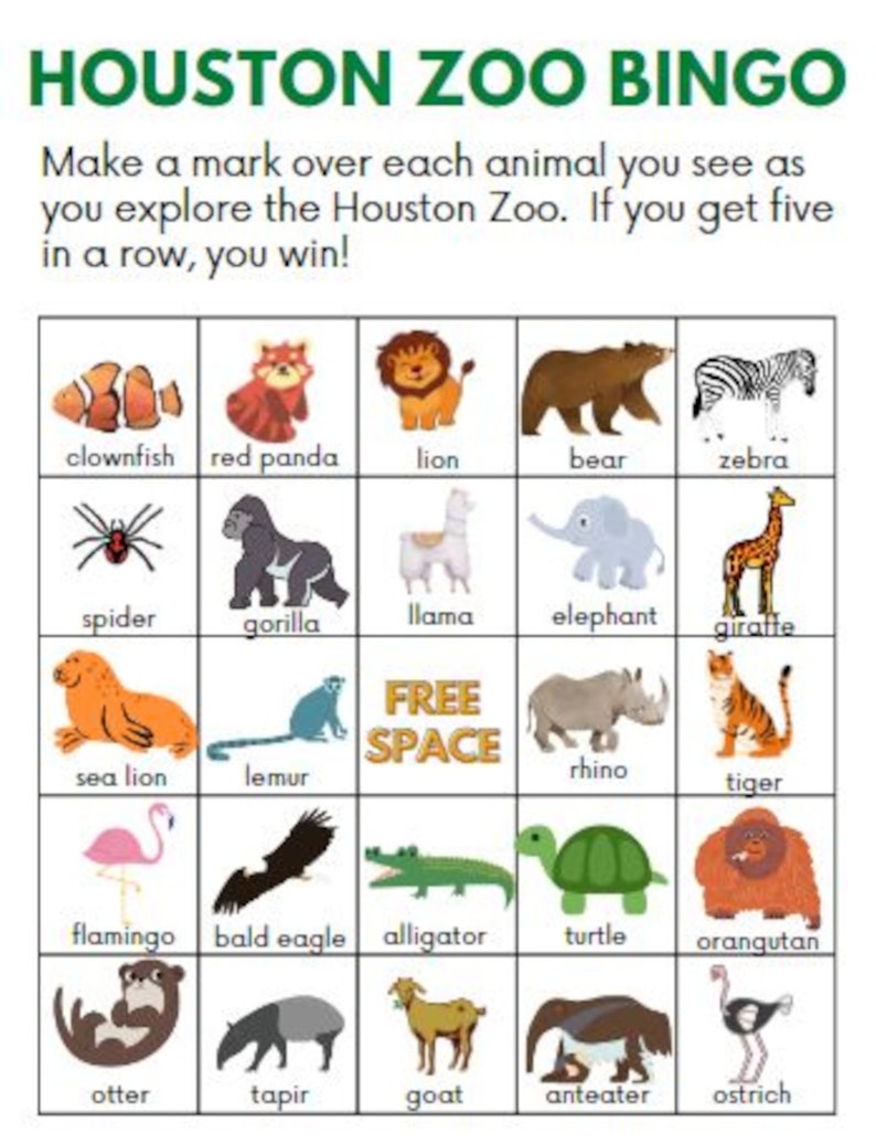 Houston Zoo Bingo - 5 Printable Cards - Etsy