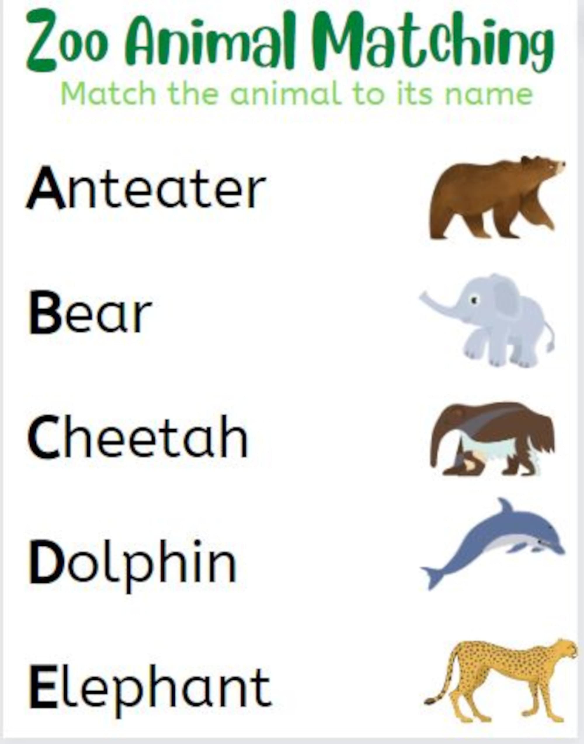 Zoo Animal Matching Abcs Printable - Etsy