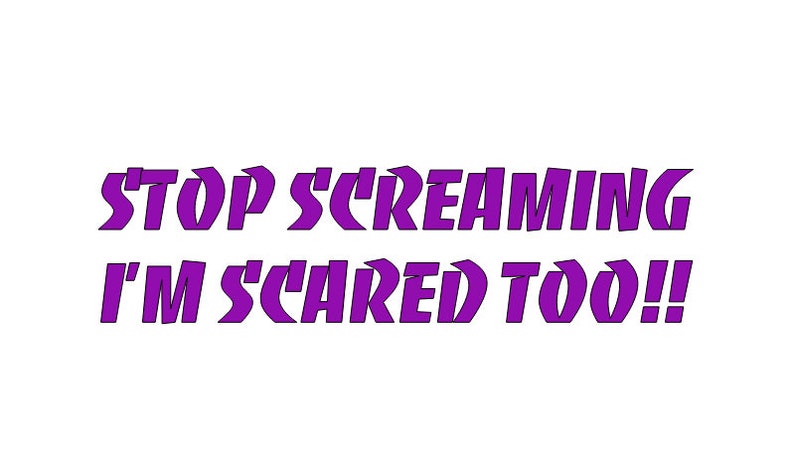 Stop Screaming I'm Scared Too Vinyl Decal - Etsy New Zealand