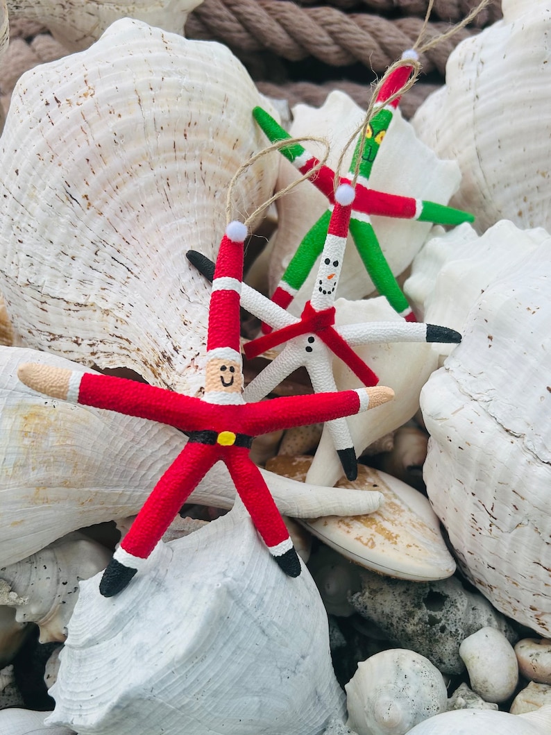 Hand Painted Starfish Ornaments - Etsy