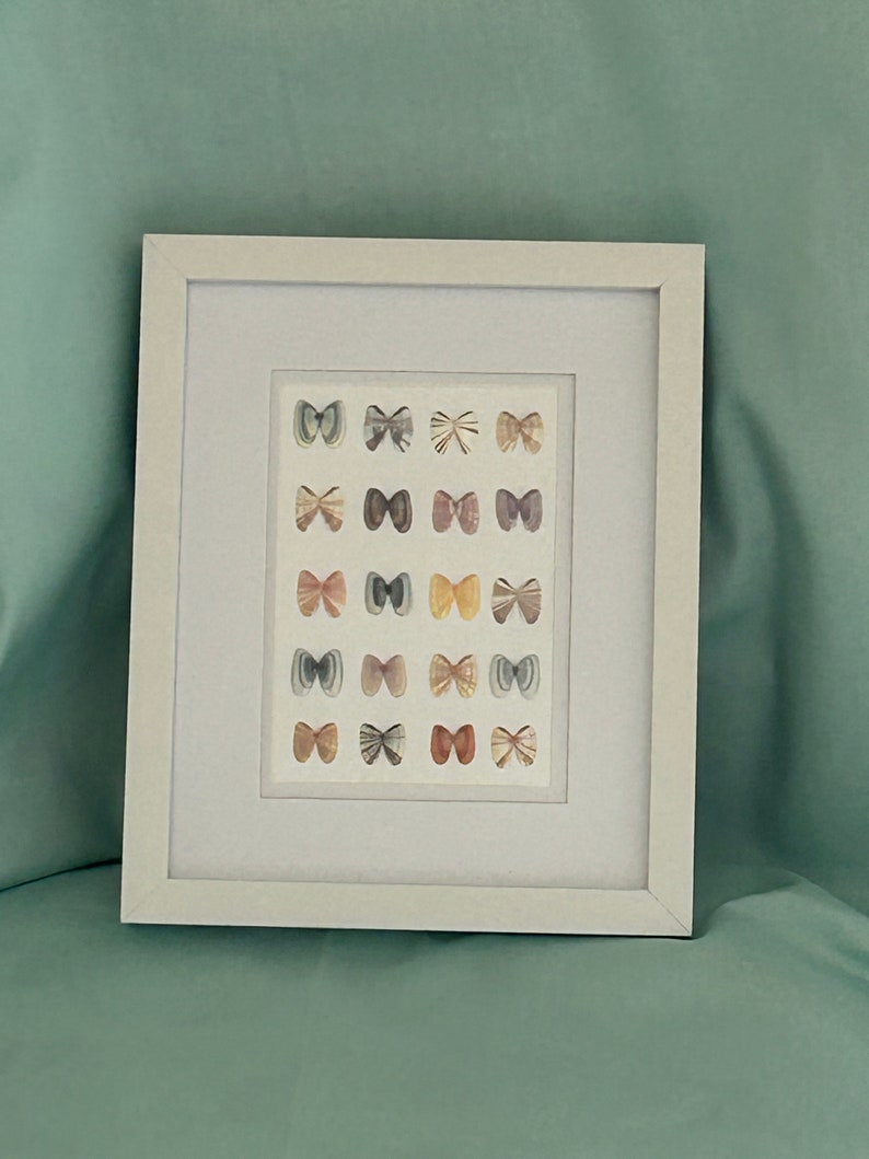 Framed Coquina Clams (butterflies of the Beach) - Etsy