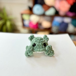 Little Critters Fernando the Frog, No-sew Crochet Pattern - Etsy