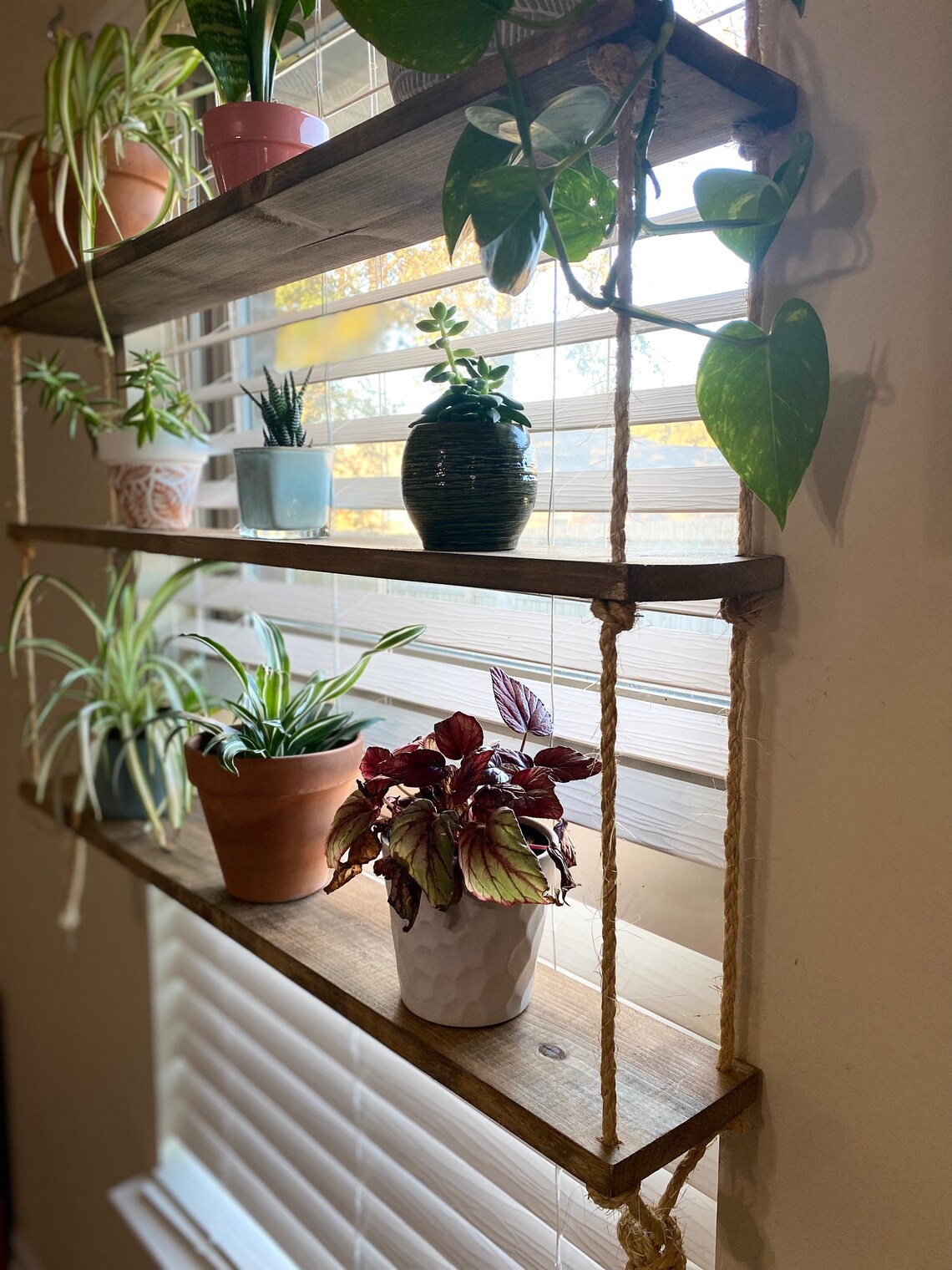 Window Plant Shelf ( 3 Tiered) | Hanging Wooden Window Shelf | Hanging ...