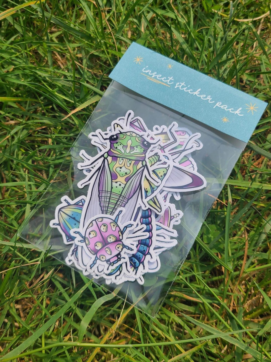 Insect Sticker Pack - Etsy
