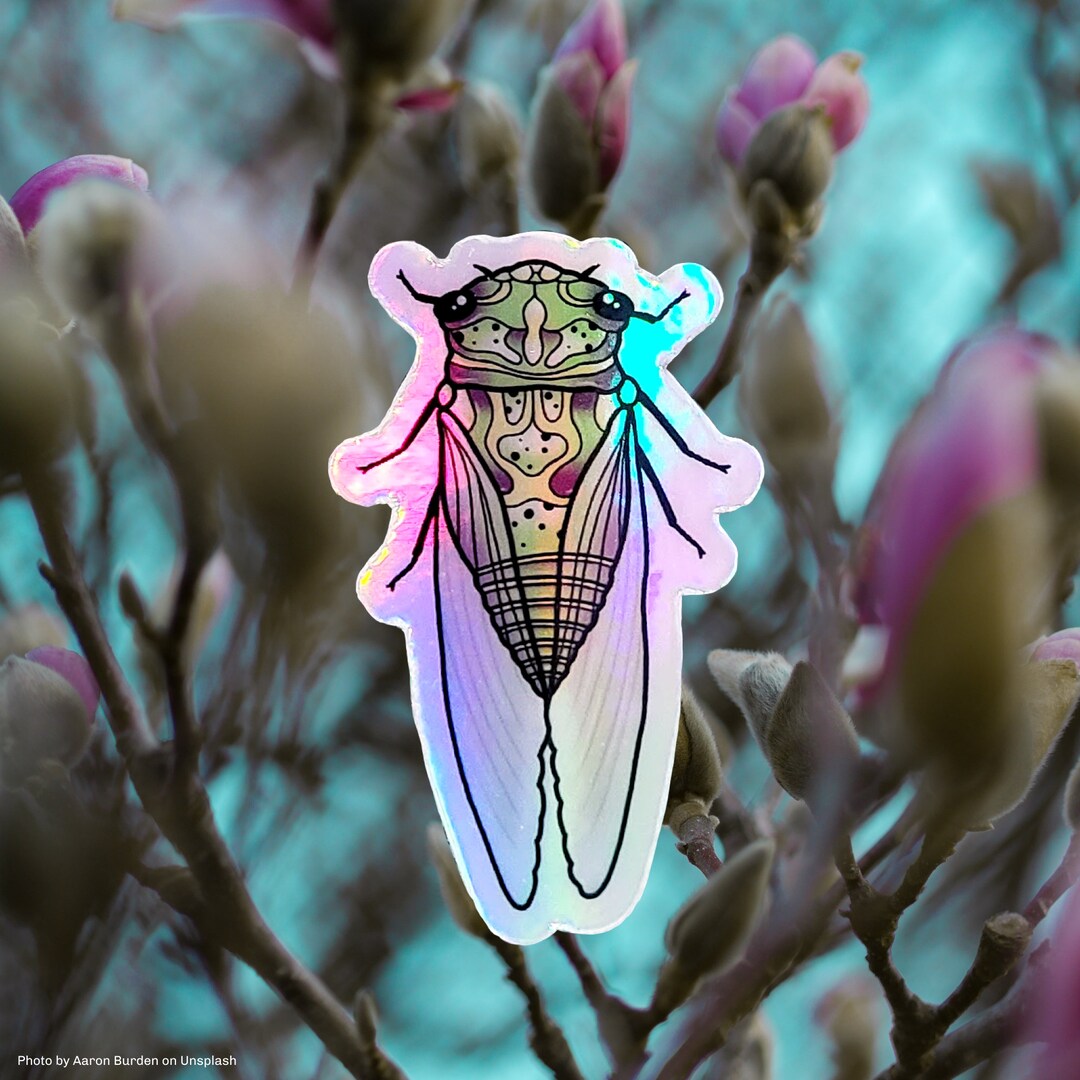 Psychedelic Cicada Sticker - Etsy