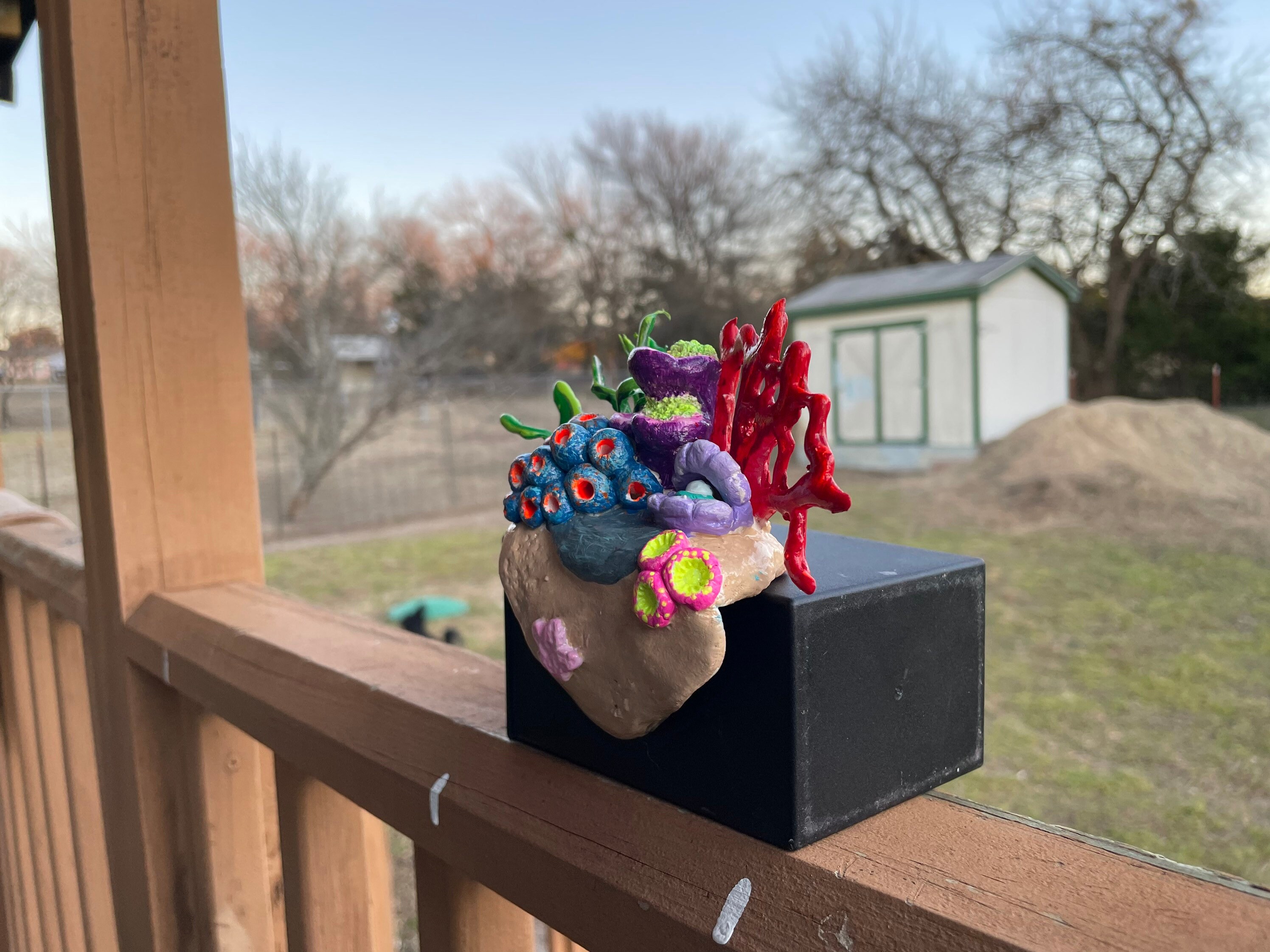 Under the Sea Ledge Hang - Etsy