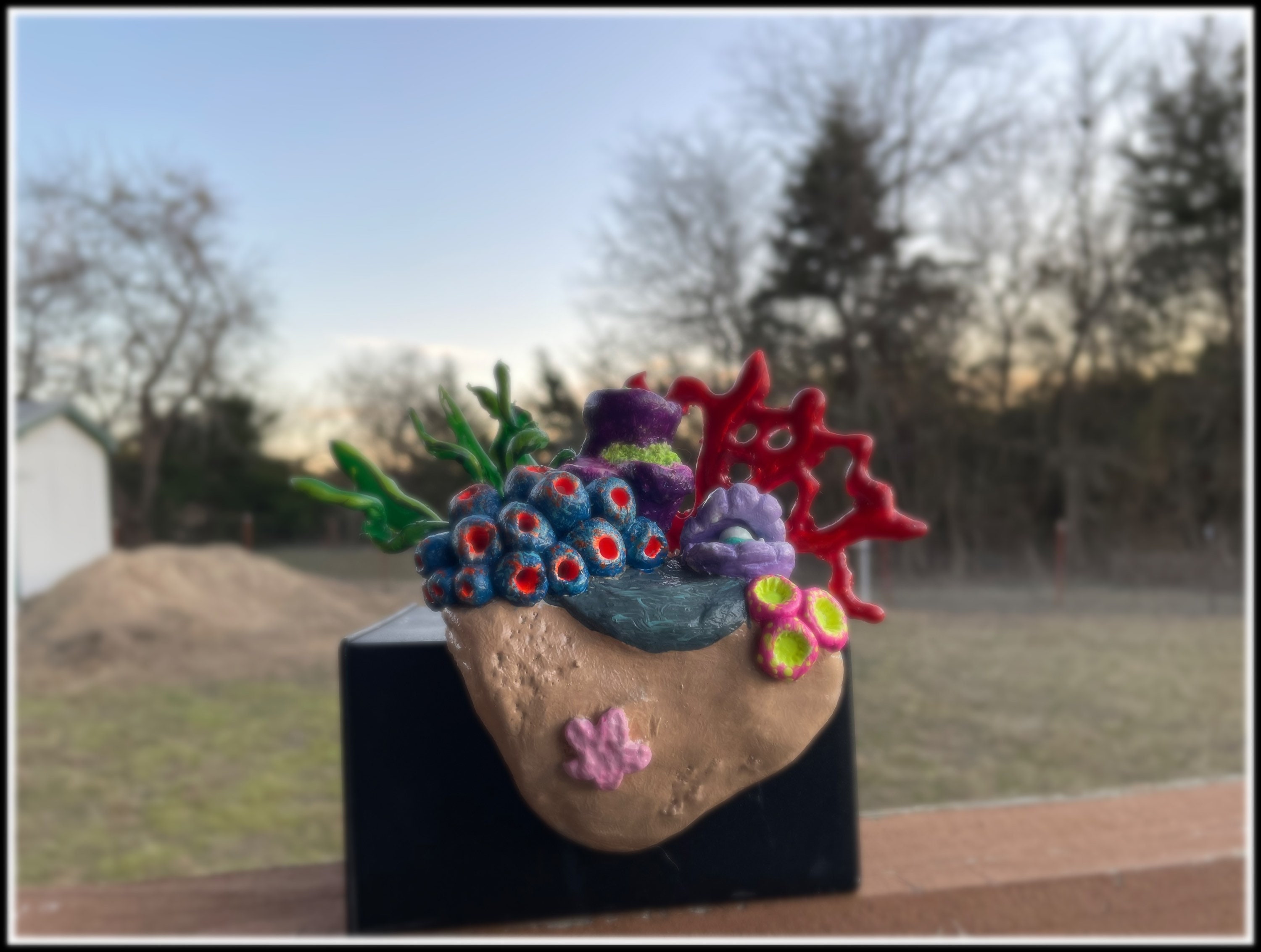 Under the Sea Ledge Hang - Etsy