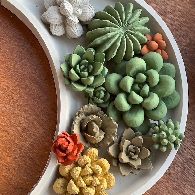 Cement Succulent Plants - Etsy