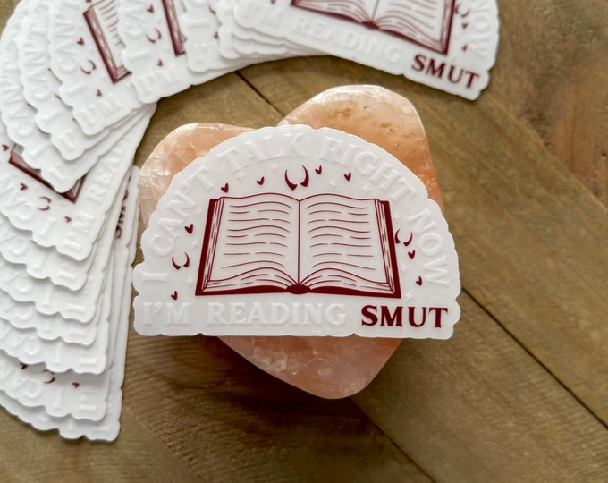 I’m Reading Smut Spicy Reader Clear Vinly Bookish Sticker, Kindle Case ...