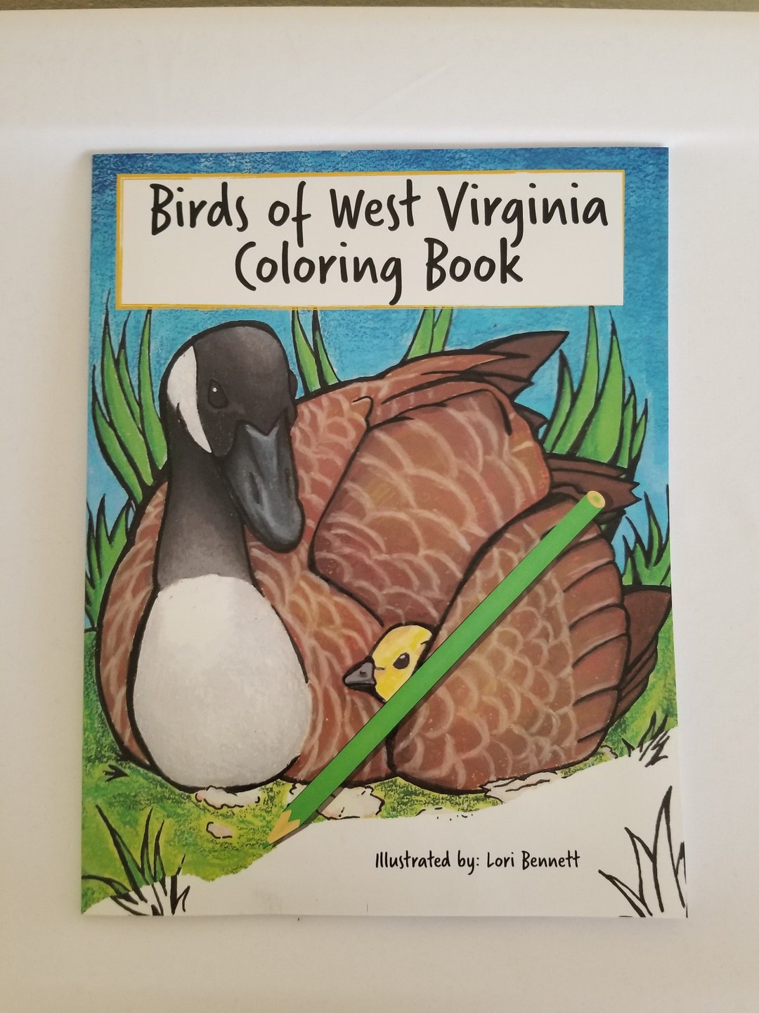 Birds of West Virginia Coloring Book - Etsy