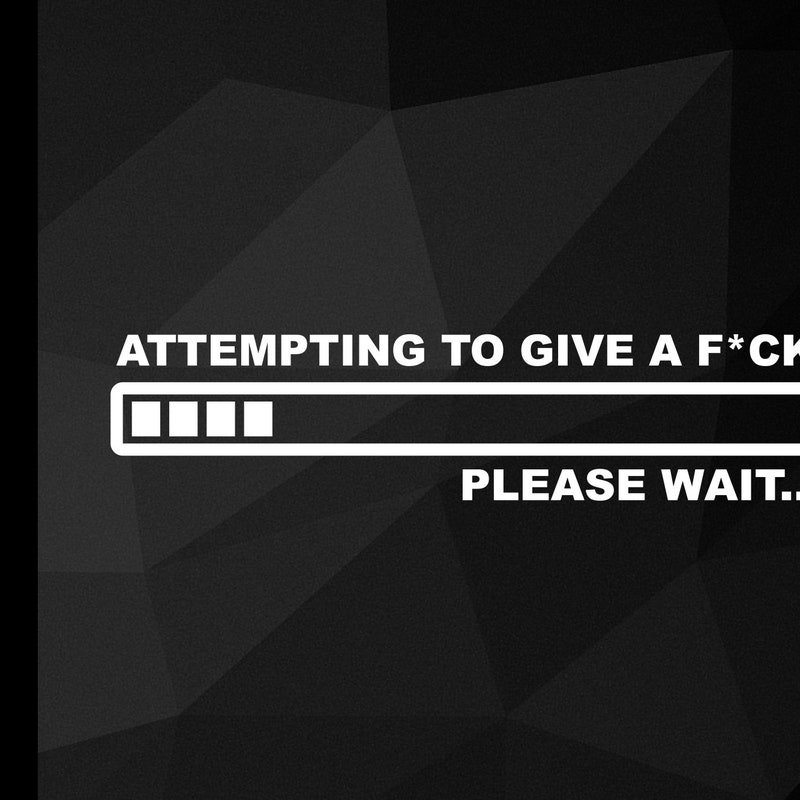 Funny Vinyl Decals - Etsy