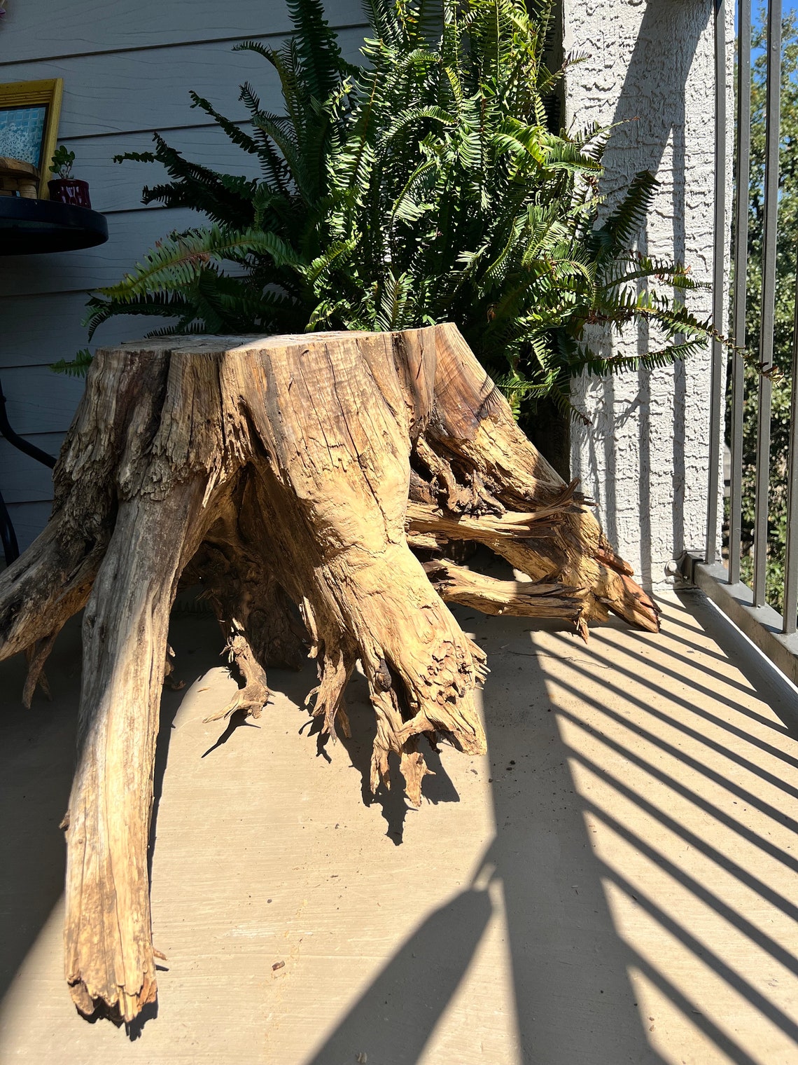 Real Wood Tree Stump (cedar) With Exposed Roots - Etsy