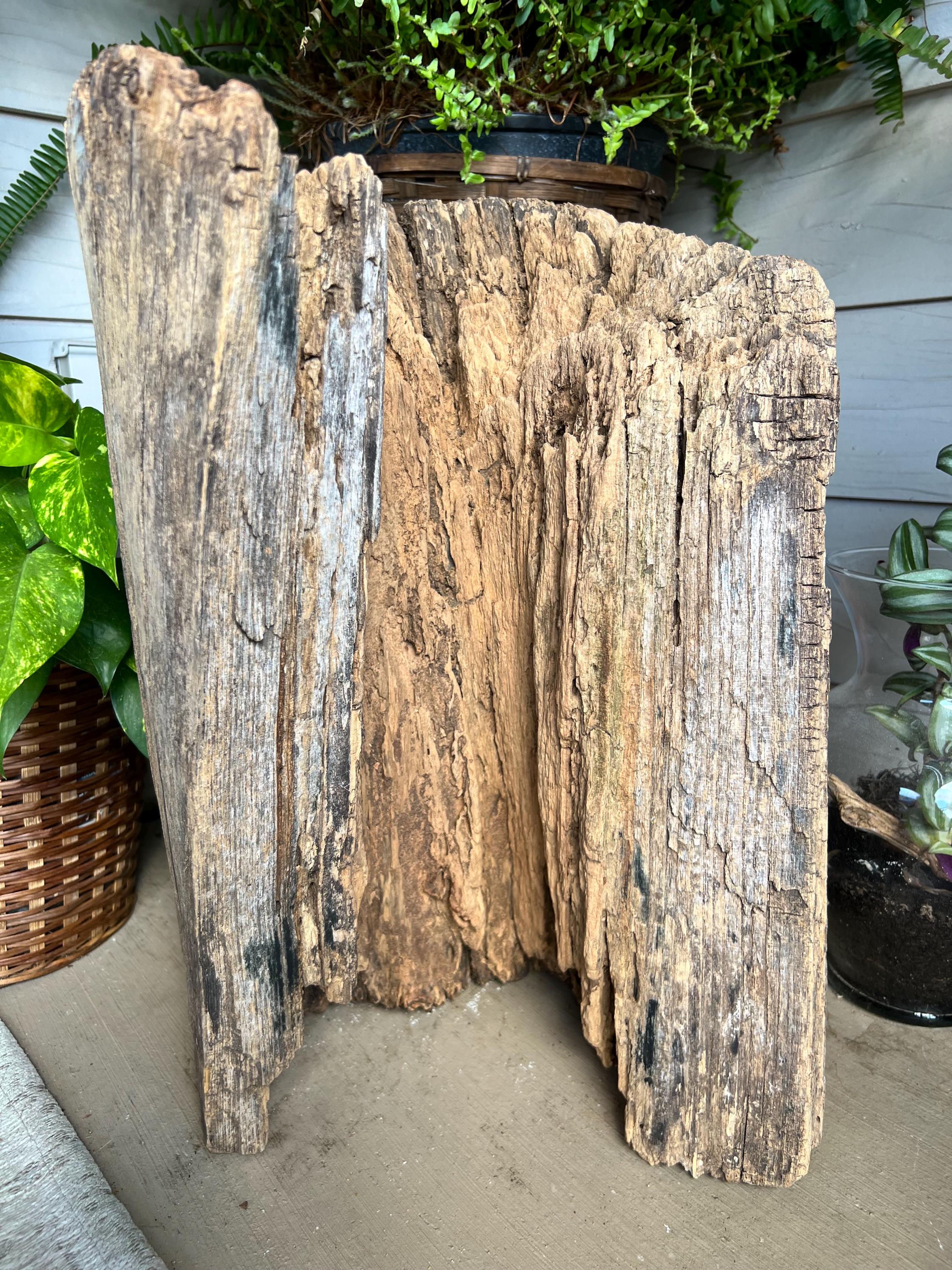 Real Wood Tree Stump (cedar) - Etsy