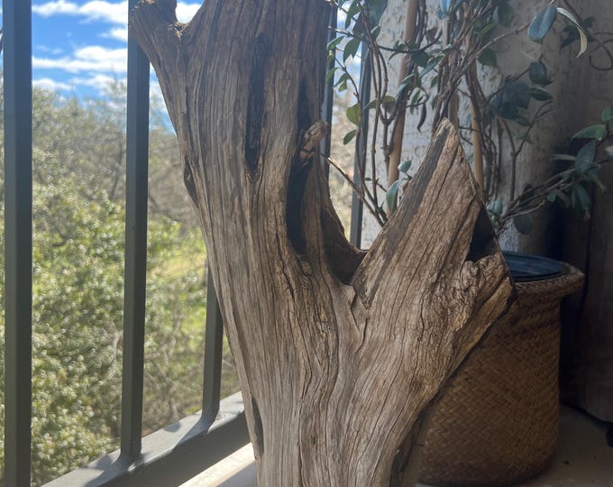 Real Wood Tree Stump (cedar) - Etsy