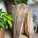 Real Wood Tree Stump (cedar) - Etsy