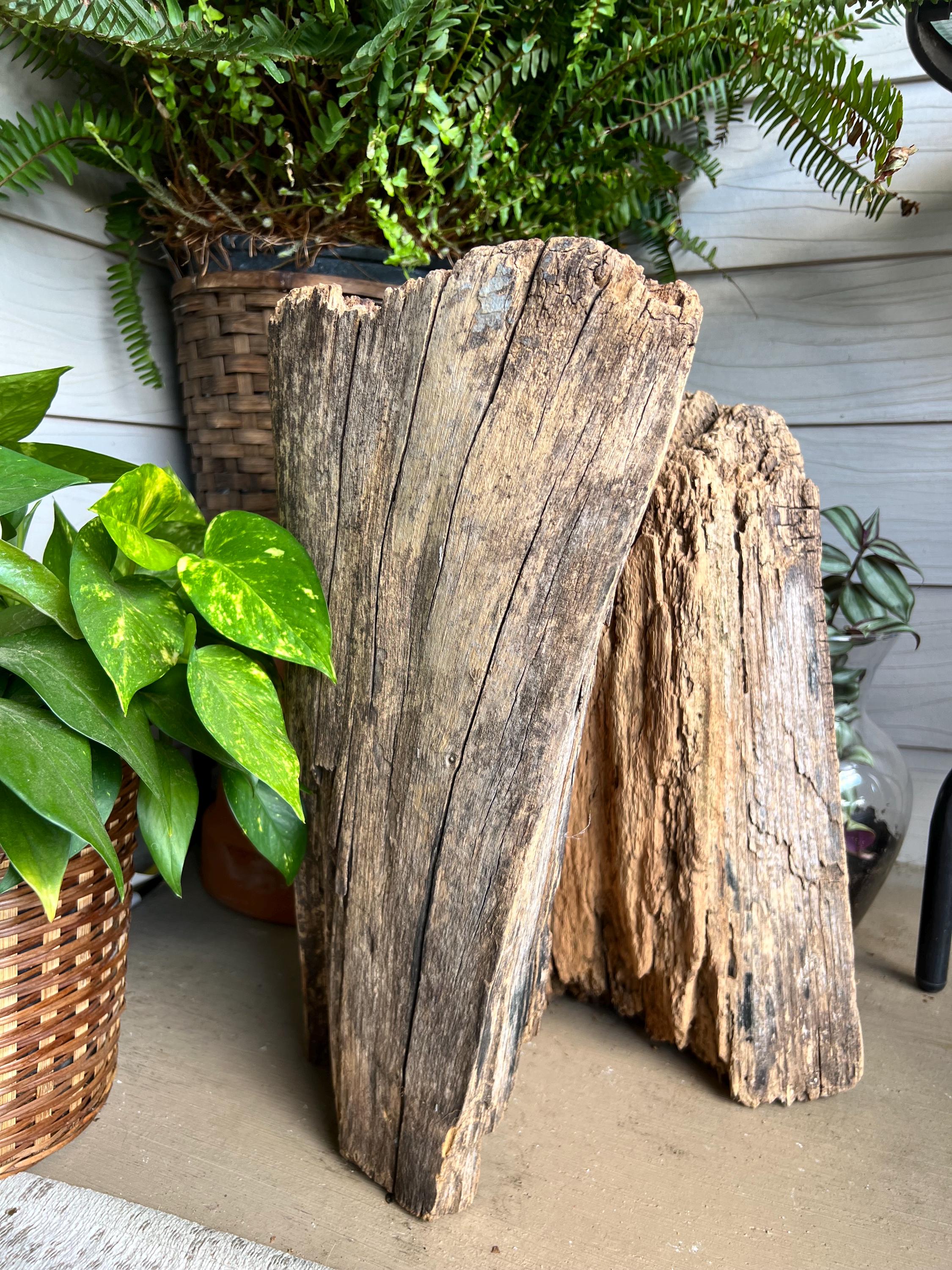Real Wood Tree Stump (cedar) - Etsy