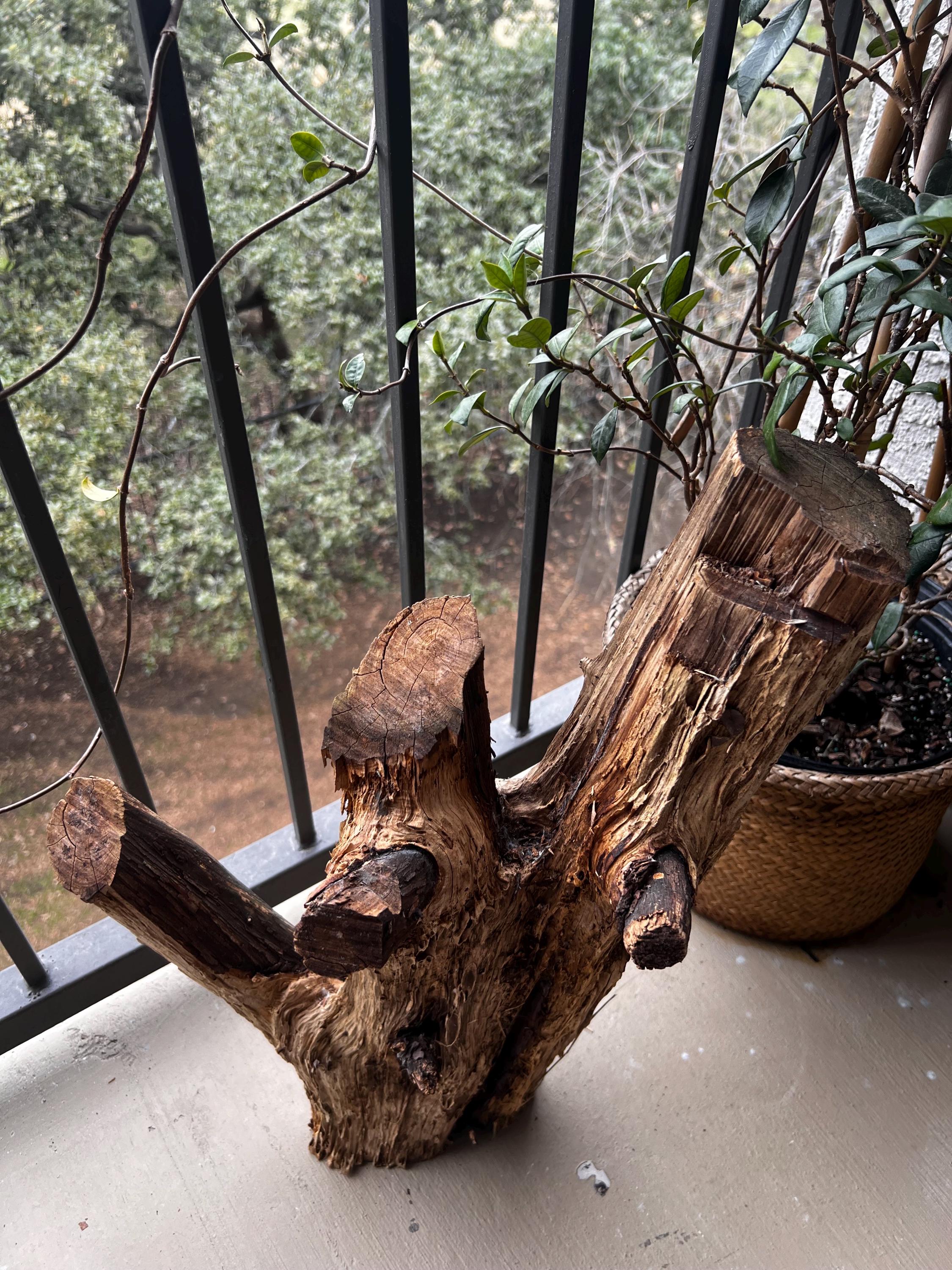 Real Wood Tree Stump cedar - Etsy