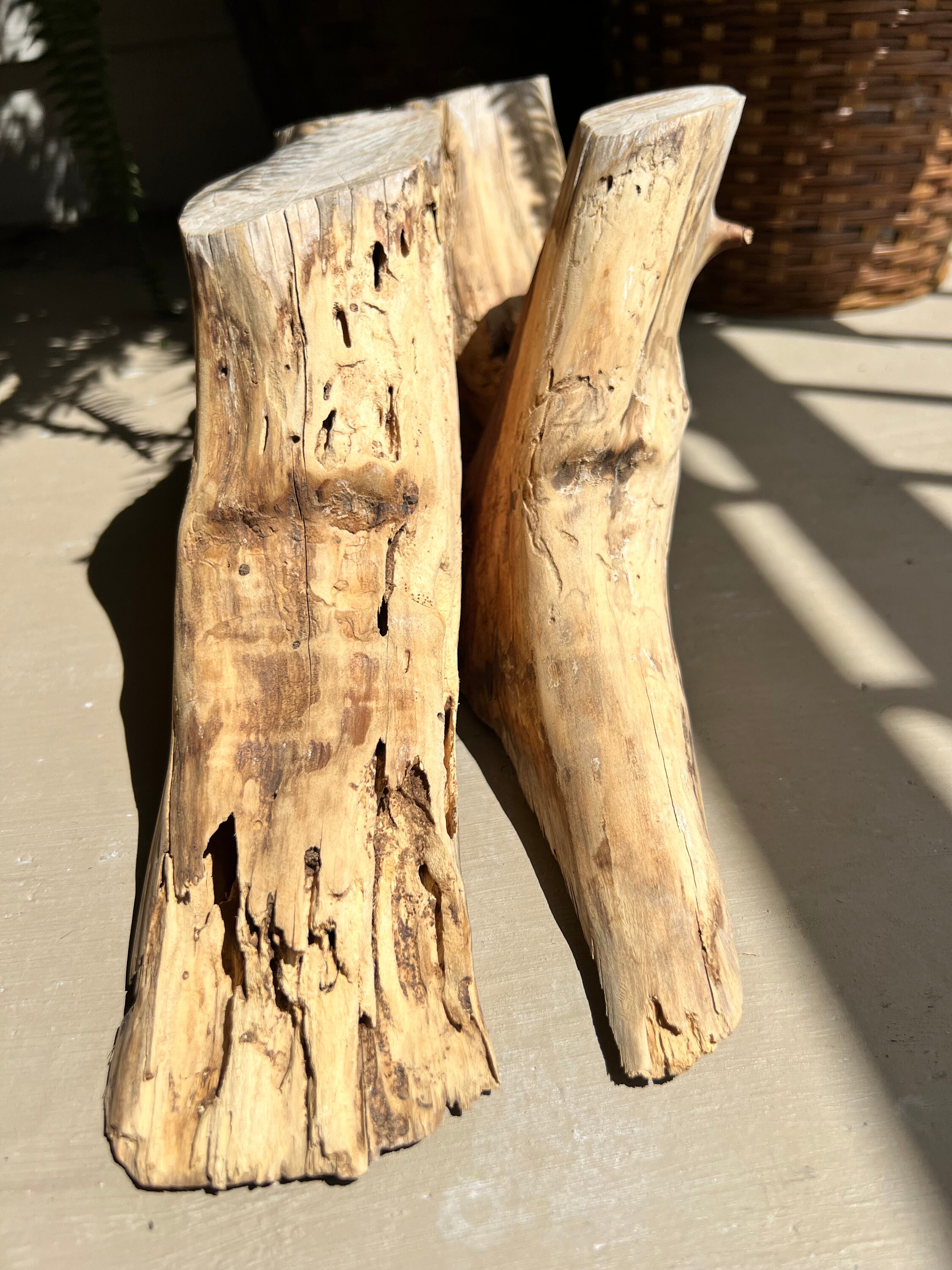 Real Wood Tree Stump (cedar) - Etsy