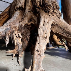 Real Wood Tree Stump (cedar) With Exposed Roots - Etsy