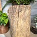 Real Wood Tree Stump (cedar) - Etsy