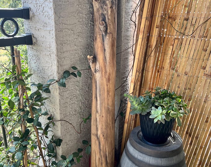 Real Wood Tree Stump (cedar) - Etsy