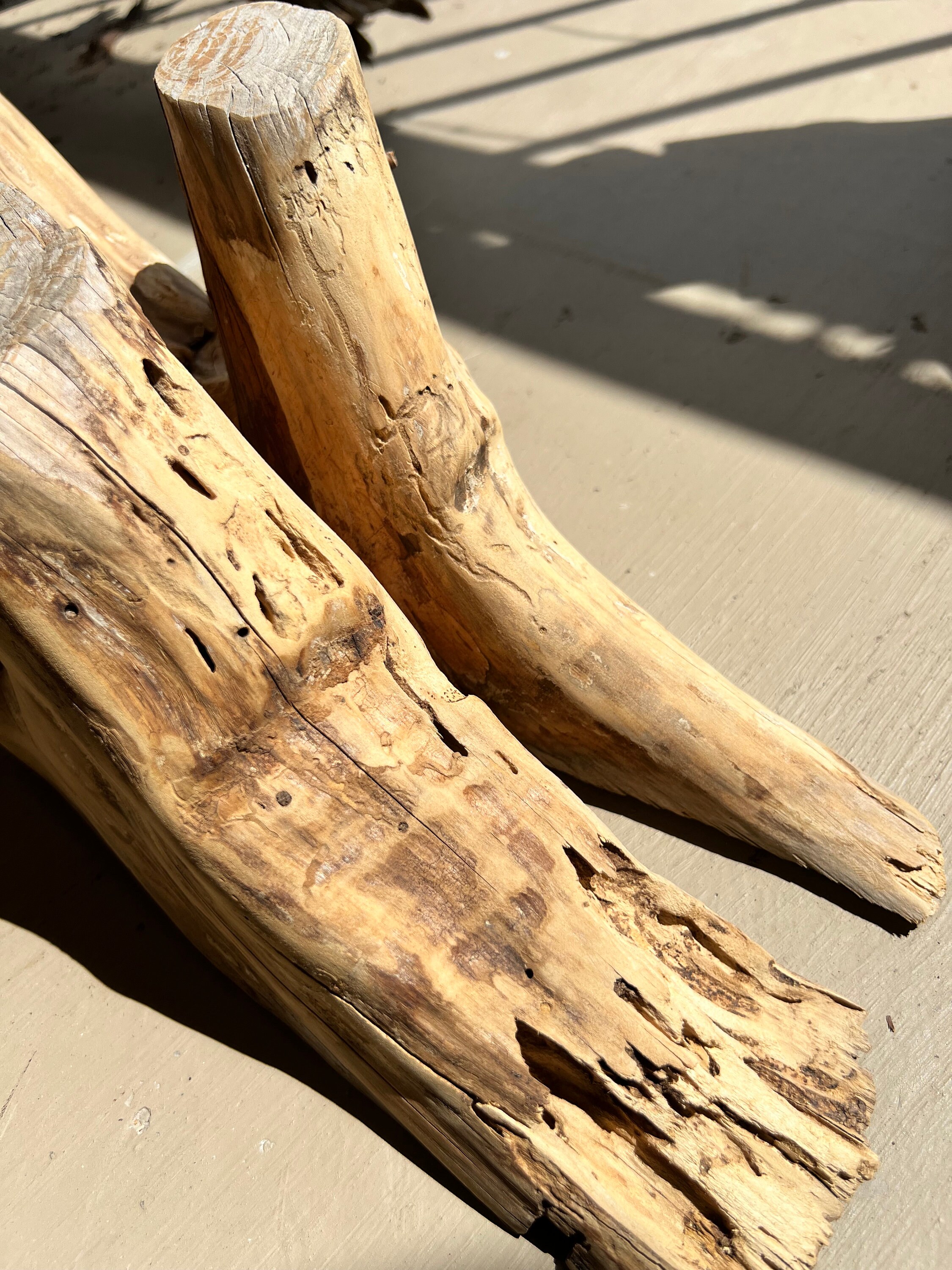 Real Wood Tree Stump (cedar) - Etsy
