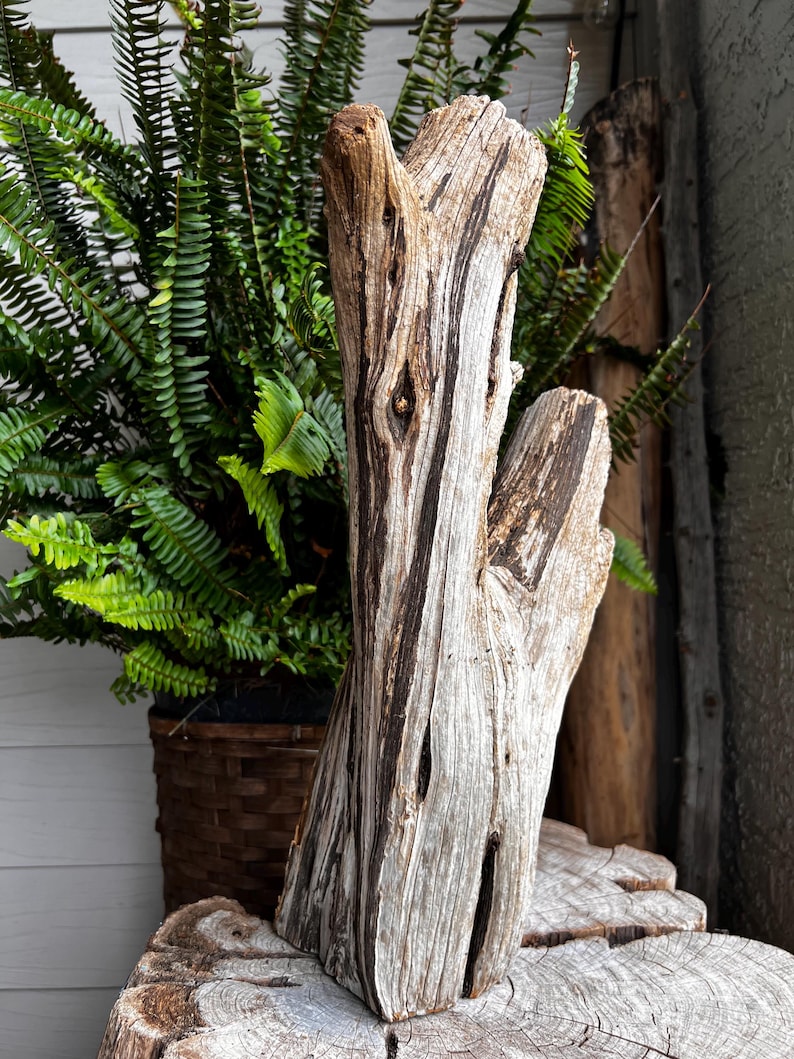 Real Wood Tree Stump (cedar) - Etsy