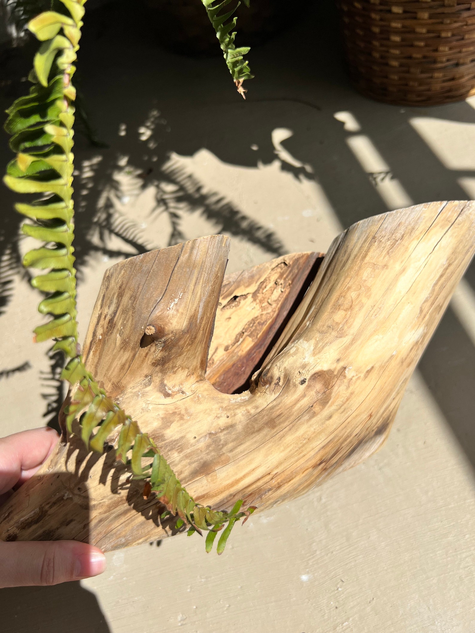 Rustic Wood Centerpieces for Tables, Cedar Log Cake Stand, Country ...