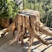 Real Wood Tree Stump (cedar) With Exposed Roots - Etsy