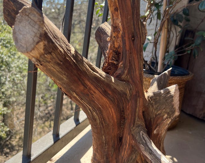Real Wood Tree Stump (cedar) - Etsy