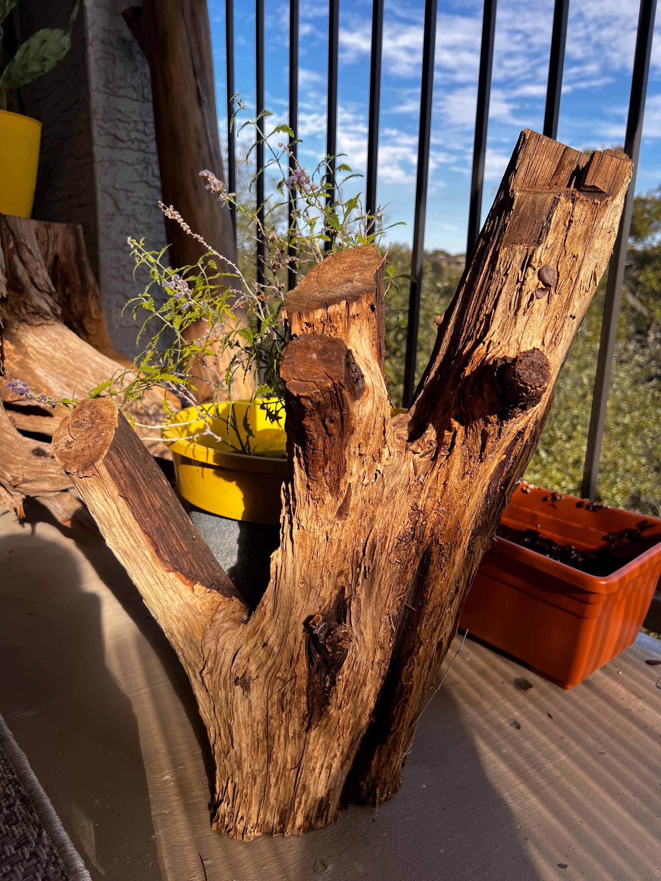 Real Wood Tree Stump (cedar) - Etsy