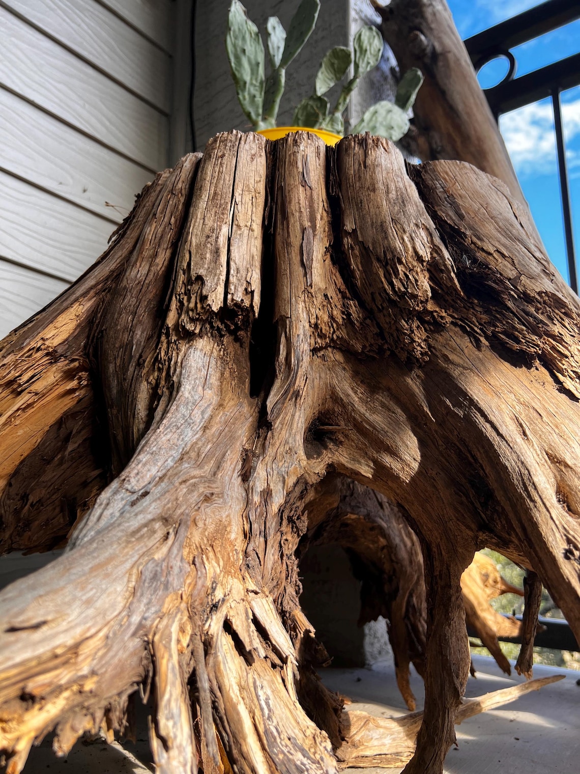 Real Wood Tree Stump (cedar) With Exposed Roots - Etsy
