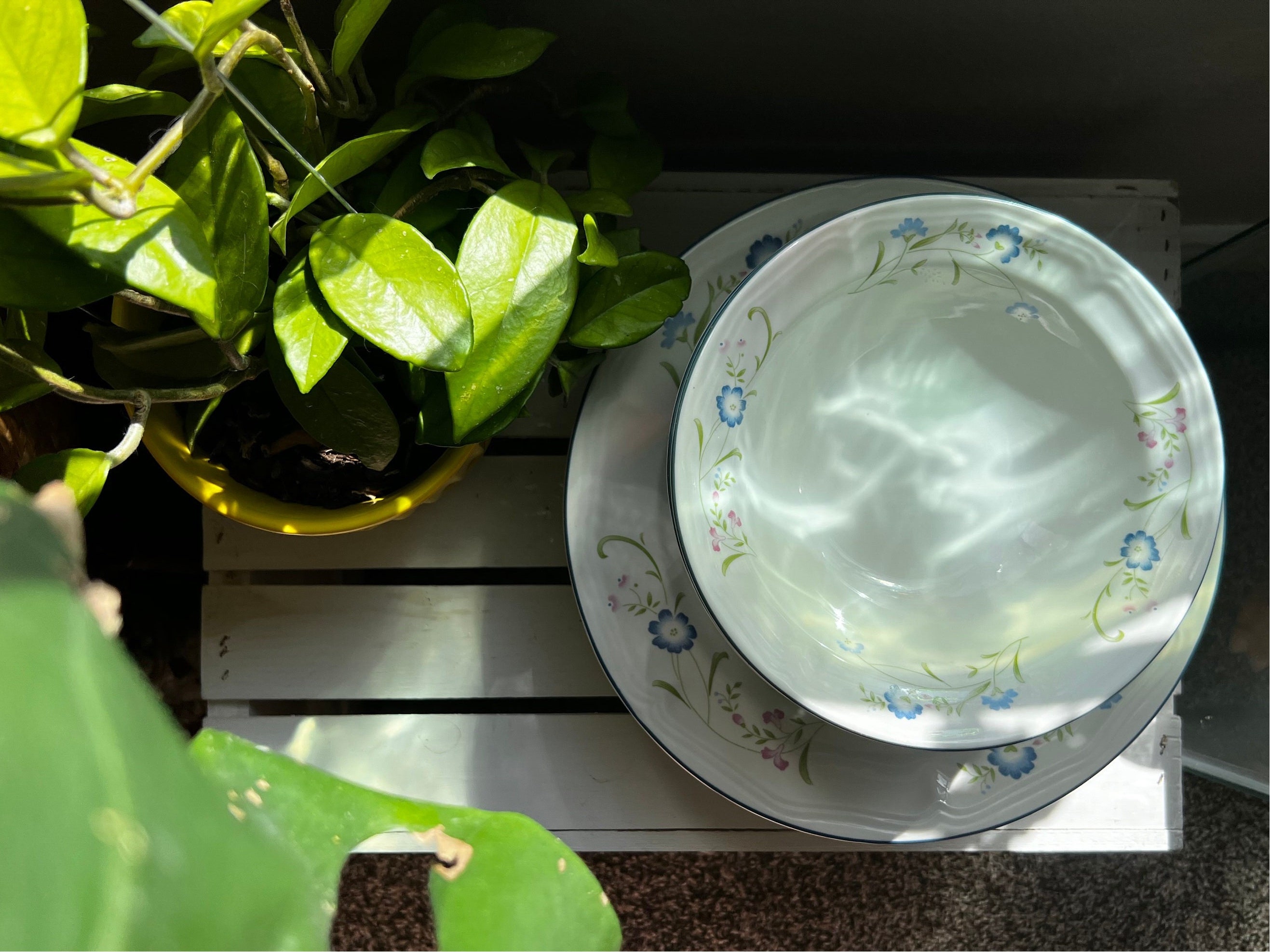 Shades Crest Genuine Floral Stoneware 14 Piece Dinner Set - Etsy