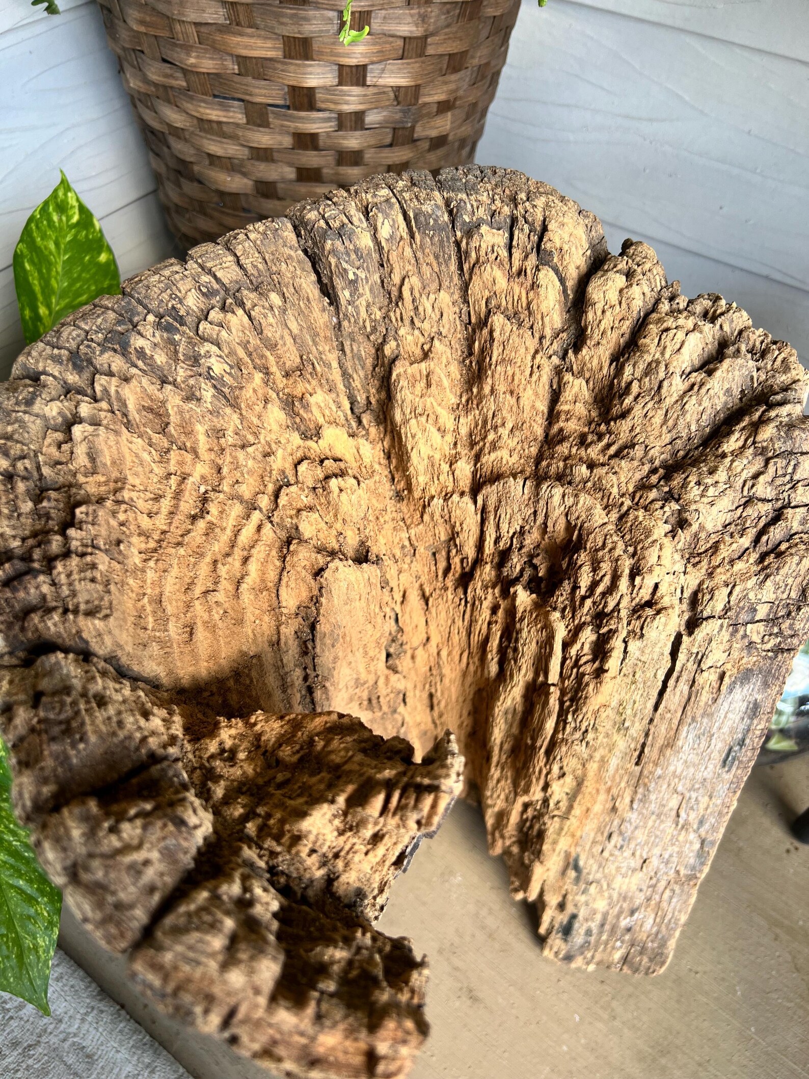 Real Wood Tree Stump (cedar) - Etsy