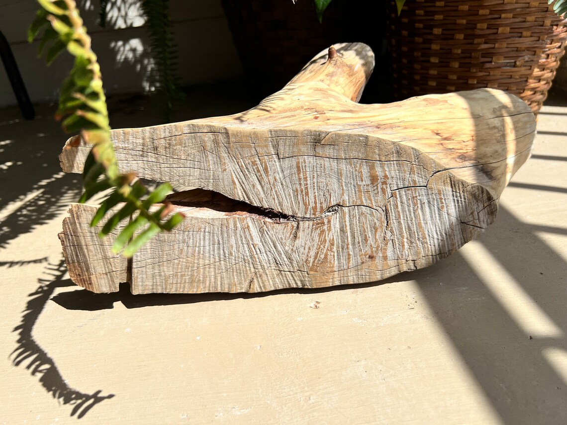 Real Wood Tree Stump (cedar) - Etsy